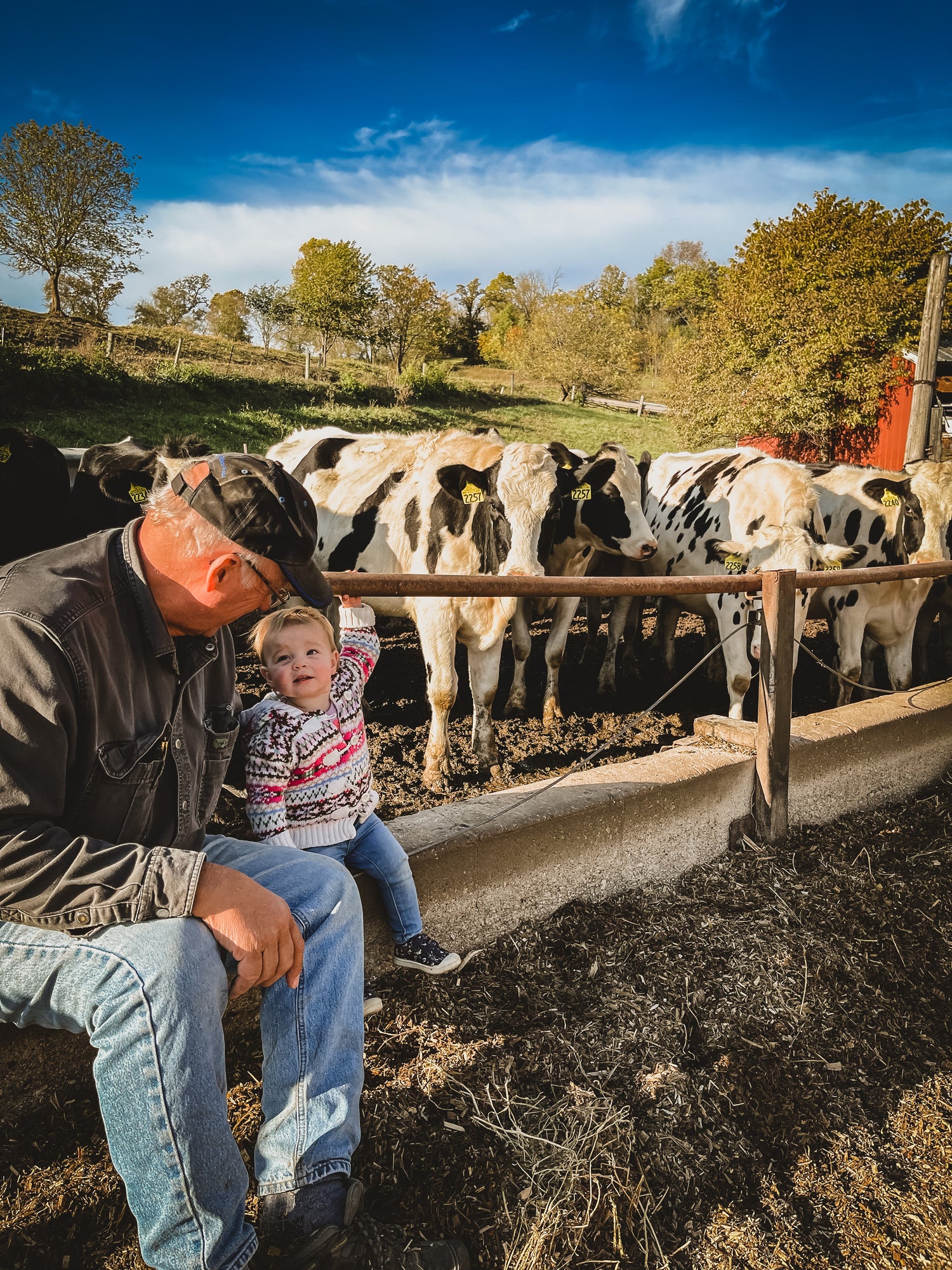 About Us – The Cheesery